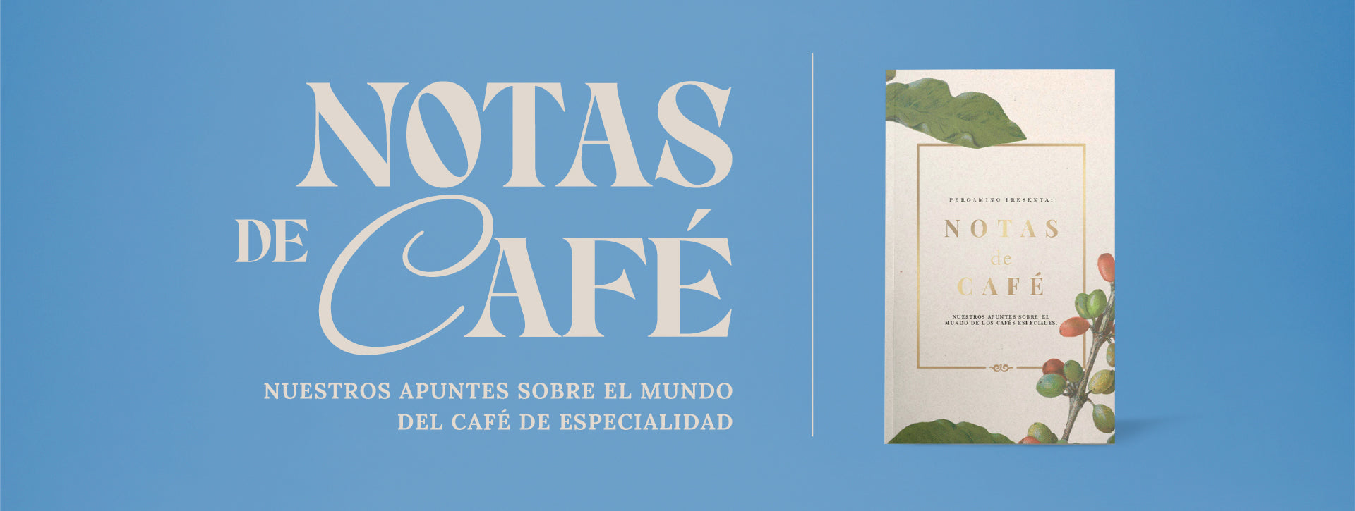 Notas de café – PERGAMINO | COLOMBIA